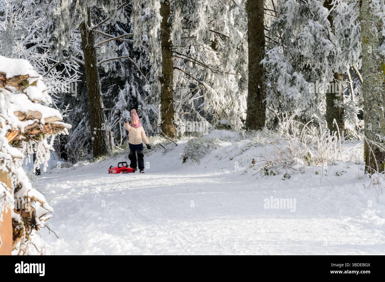 Child pulling sled through hi-res stock photography and images - Alamy