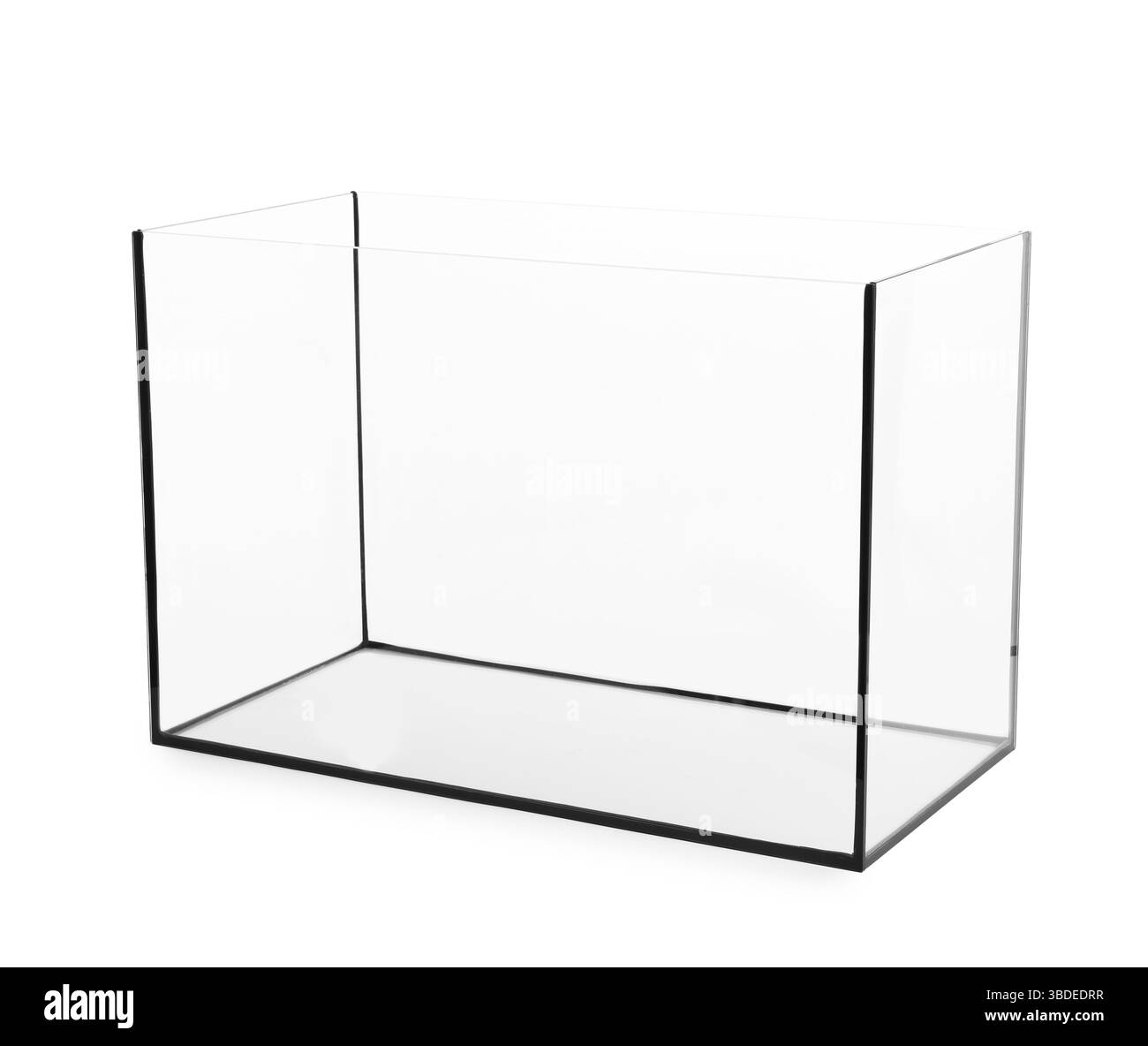 Freshwater aquarium fish color Black and White Stock Photos & Images ...