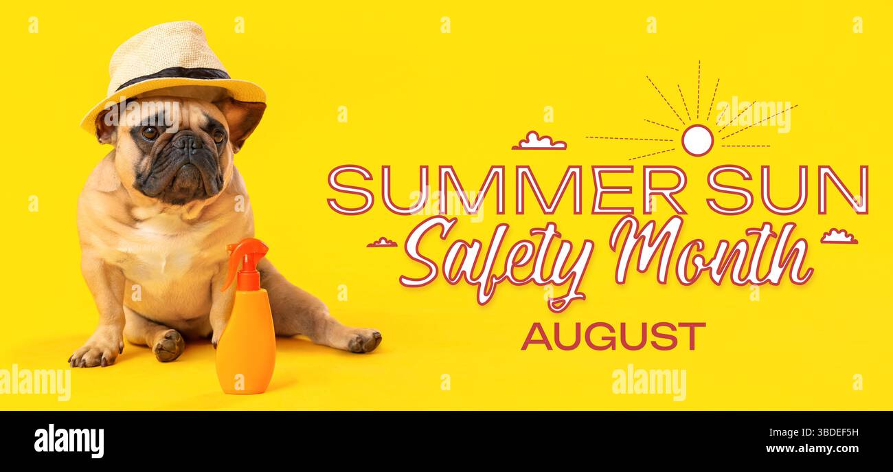 Cute bulldog and bottle of sunscreen cream on yellow background. Banner ...