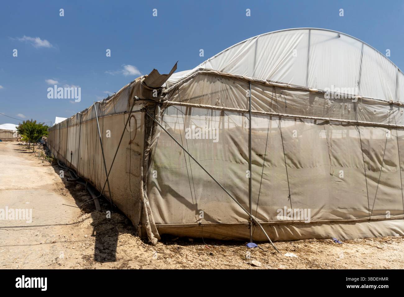 Greenhouse with Fan and Pad Cooling System Stock Photo - Alamy
