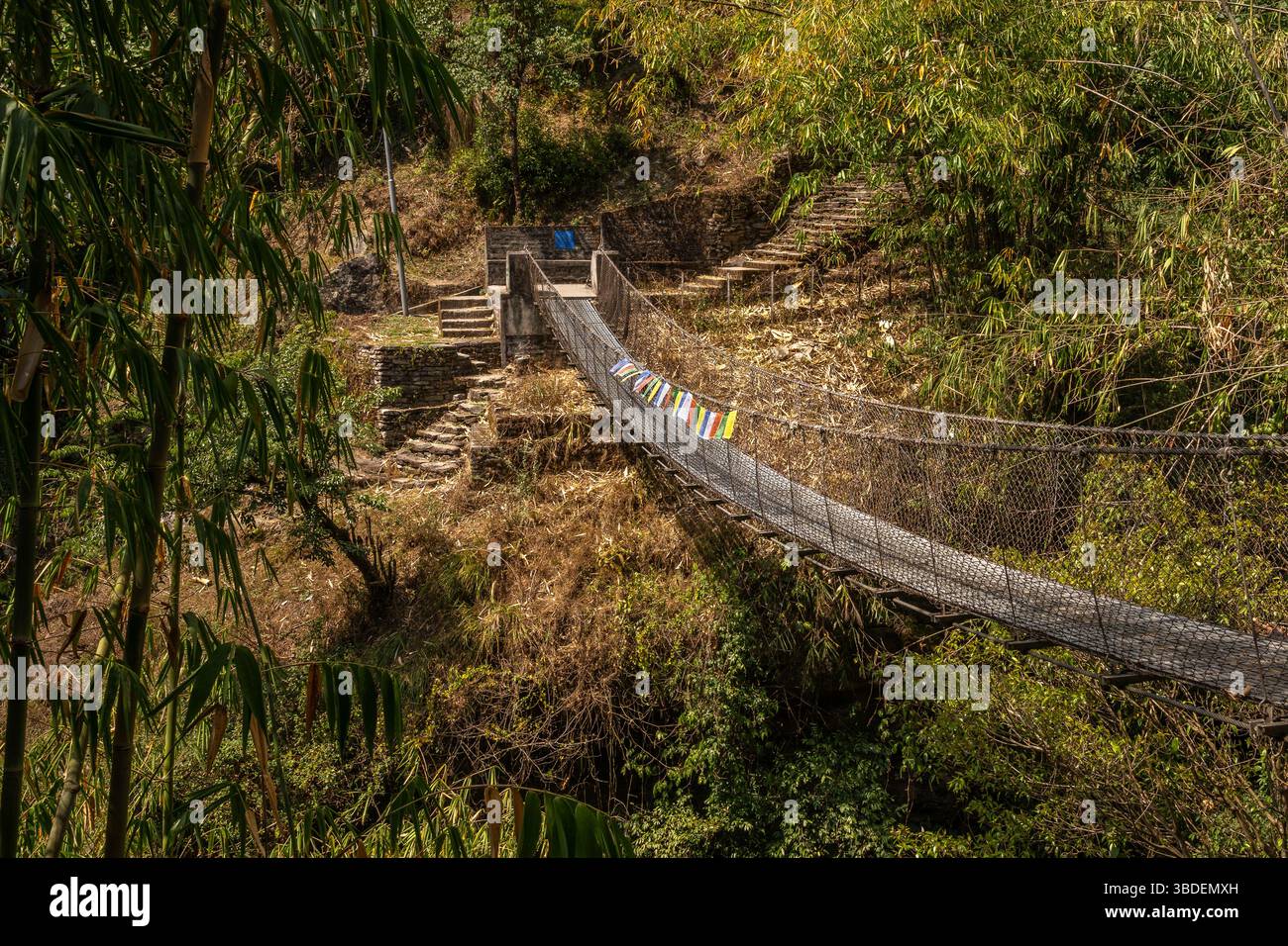 Rope bridge over the river in the jungle at the foot of Himalaya ...