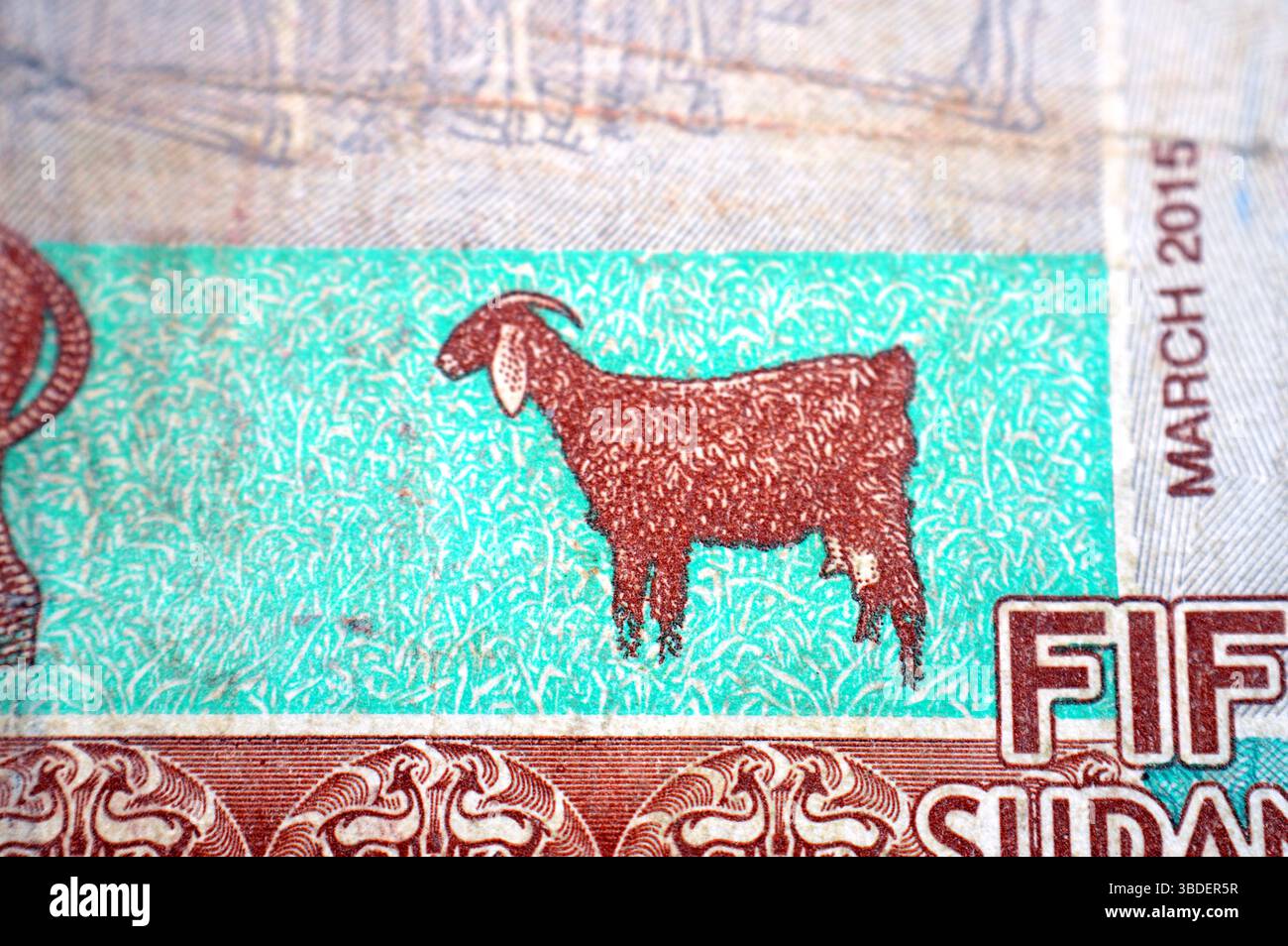 goat from the reverse side of 50 SDG fifty Sudanese pound cash money ...