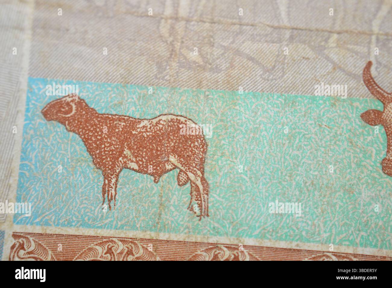sheep from the reverse side of 50 SDG fifty Sudanese pound cash money ...