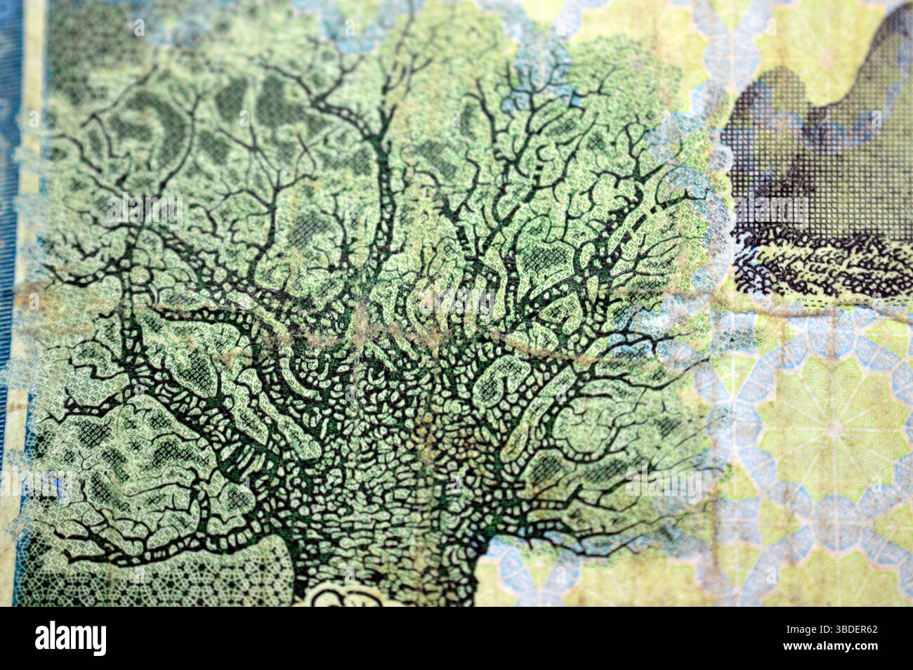 A tree from the obverse side of 10 SDG ten Sudanese pound cash money ...