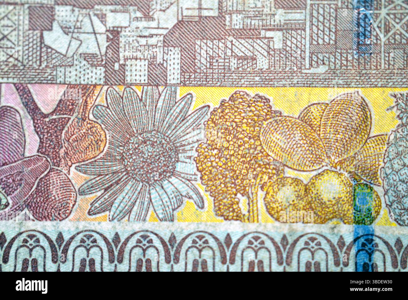 Fruits and vegetables from the reverse side of 20 SDG twenty Sudanese ...