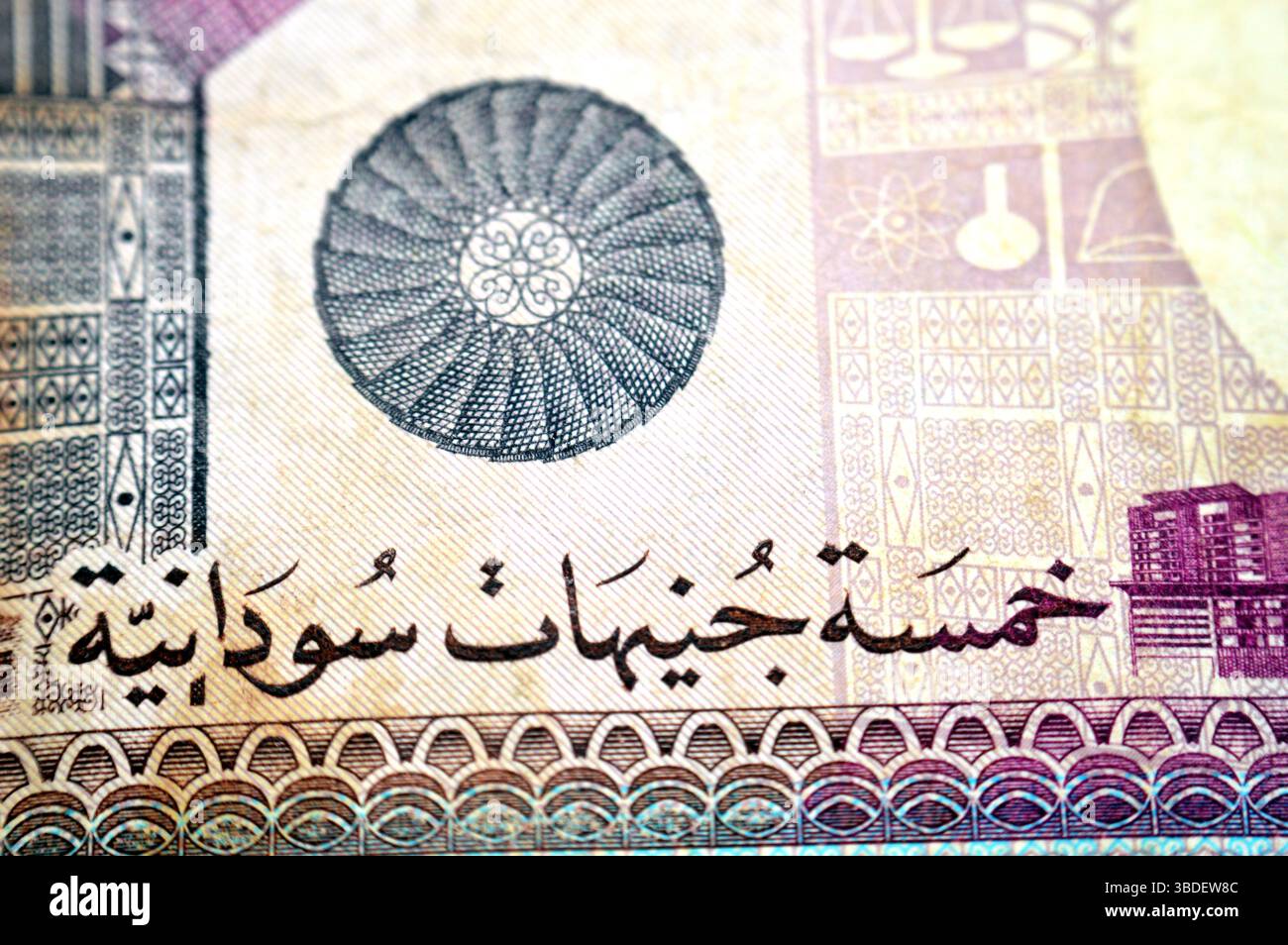 the obverse side of 5 SDG Five Sudanese pounds cash money bill banknote ...