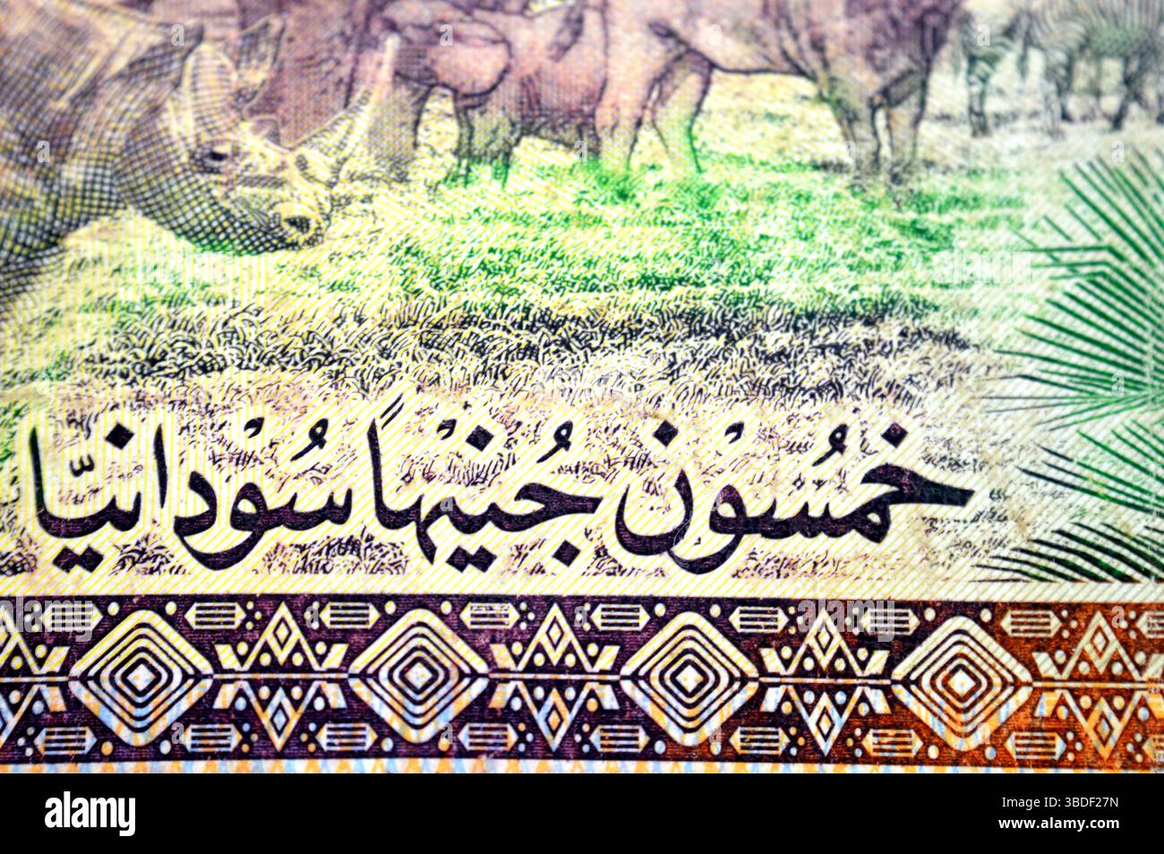 the obverse side of 50 SDG fifty Sudanese pound cash money bill banknote, by the central bank of ...