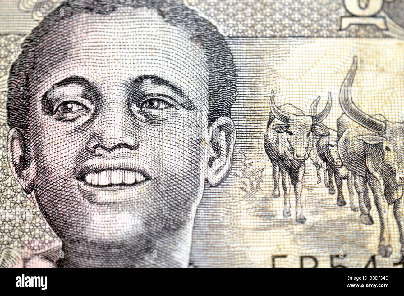 Young man at center right from the obverse side of 1 ETB one Ethiopian ...