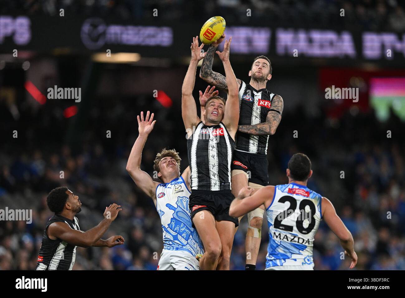 Melbourne, Australia. 24th May, 2025. Cameron Zurhaar of North ...