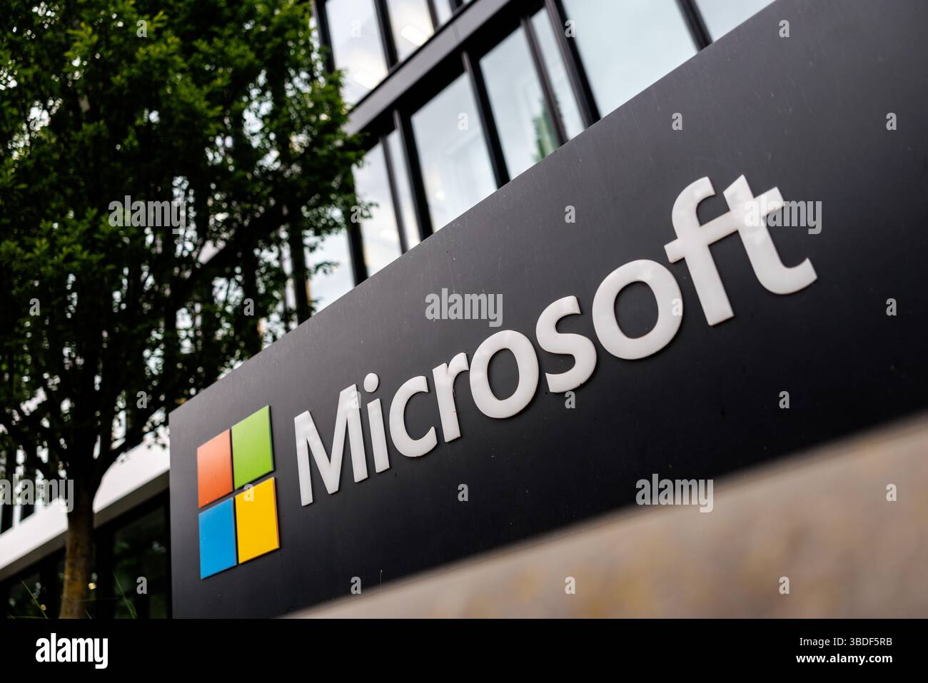 23 May 2025, Bavaria, Munich: The Microsoft logo and lettering can be ...