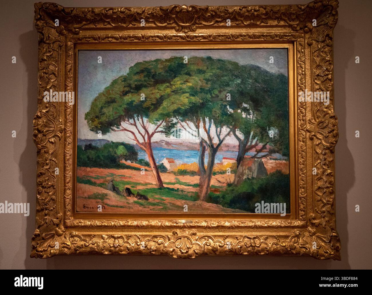 Cyprus Trees, 1907, Maximilien Luce, the instinct for landscape ...