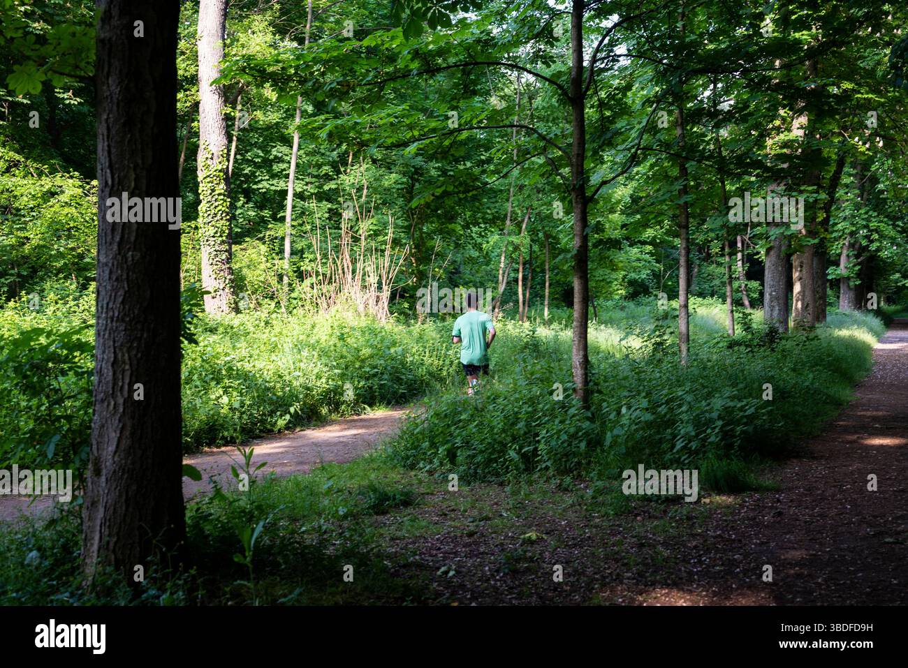 Jogging paris park hi-res stock photography and images - Alamy