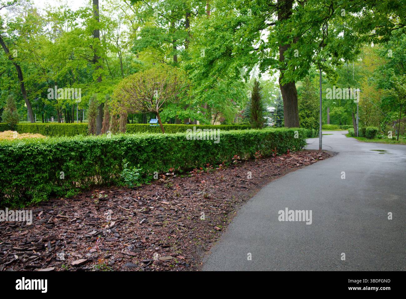 Scenic green park lush bushes hi-res stock photography and images - Alamy