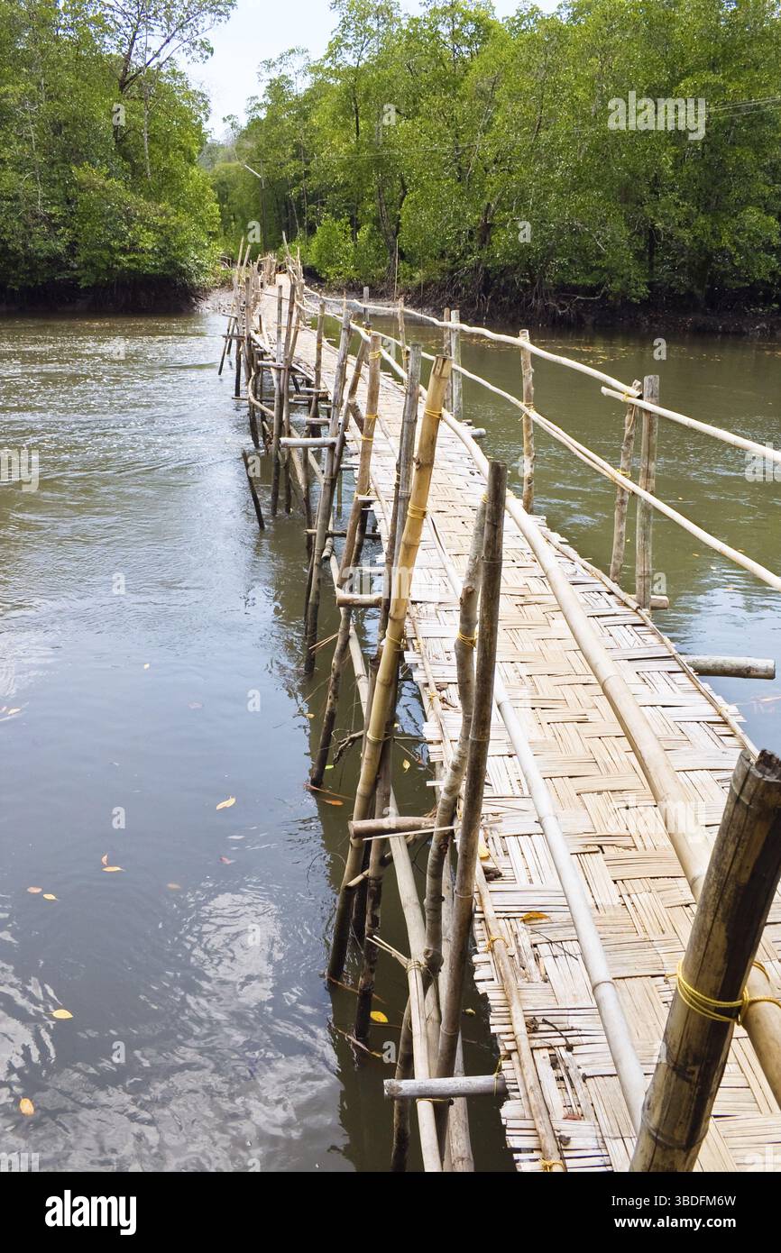 Bamboo bridge, mangroves, Kalighat, Andaman Islands, India Stock Photo ...