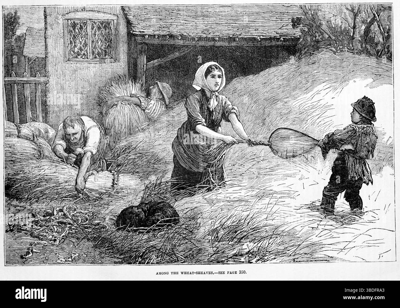 Among the wheat sheaves (1878). Depicts traditional wheat binding in ...