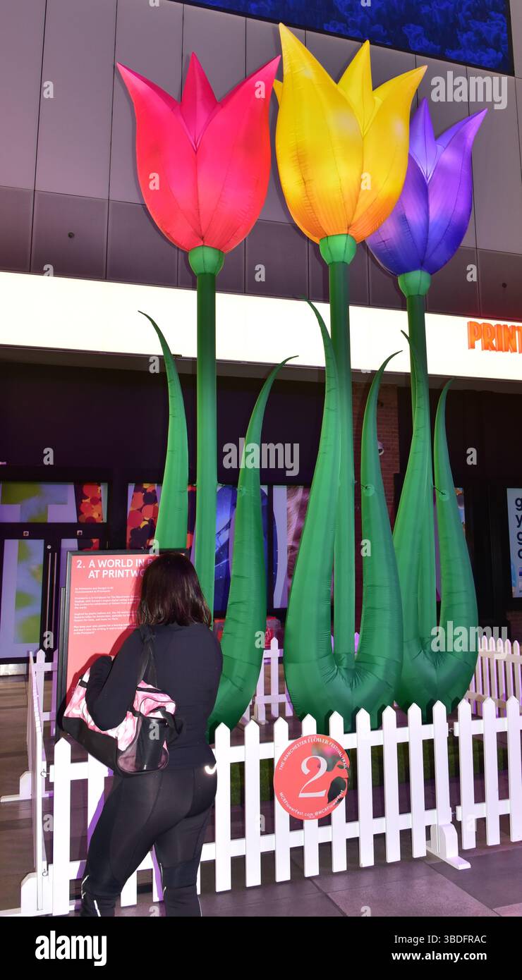 Manchester, UK, 24th May, 2025. The Manchester Flower Festival, from ...