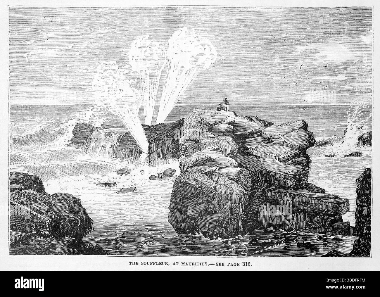 Le Souffleur (The Blower), a natural fountain at Mauritius (1878). 19th ...