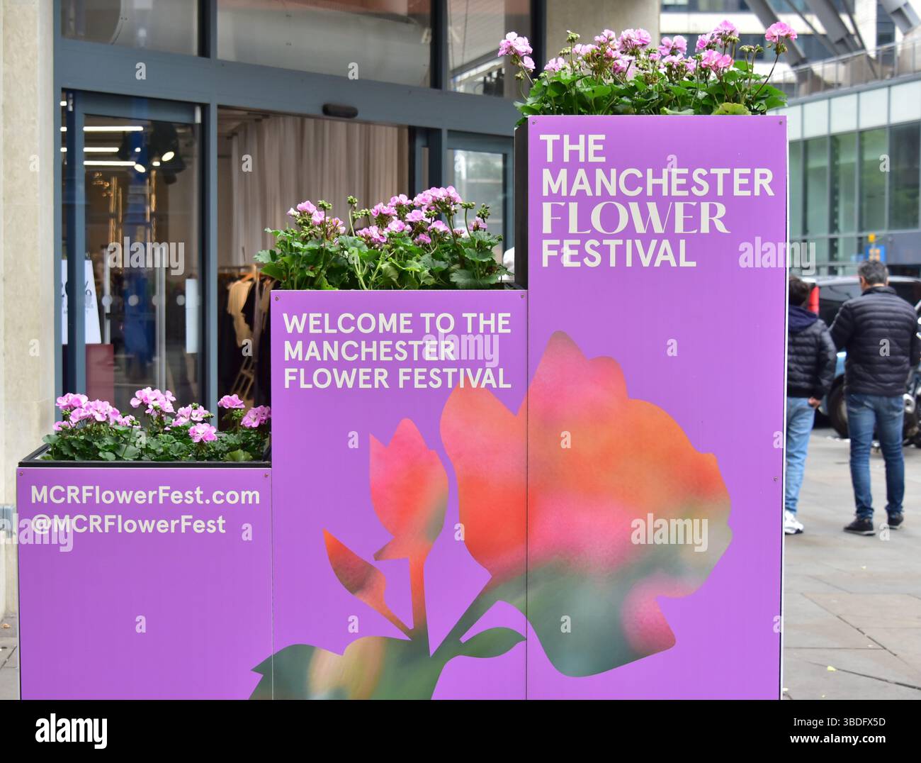 Manchester, UK, 24th May, 2025. The Manchester Flower Festival, from ...