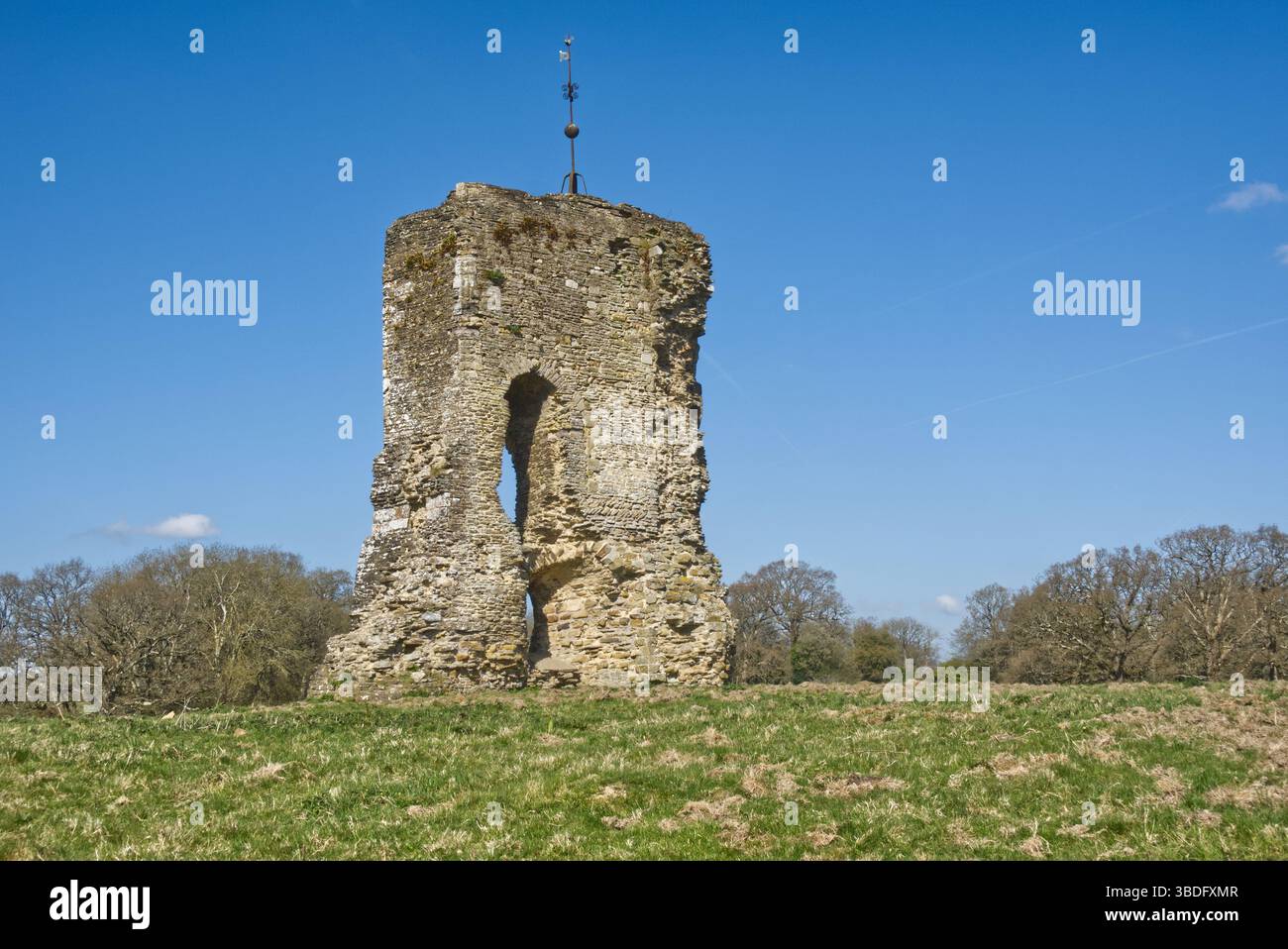 Ruined remains of Knepp Castle near Horsham in West Sussex, England ...