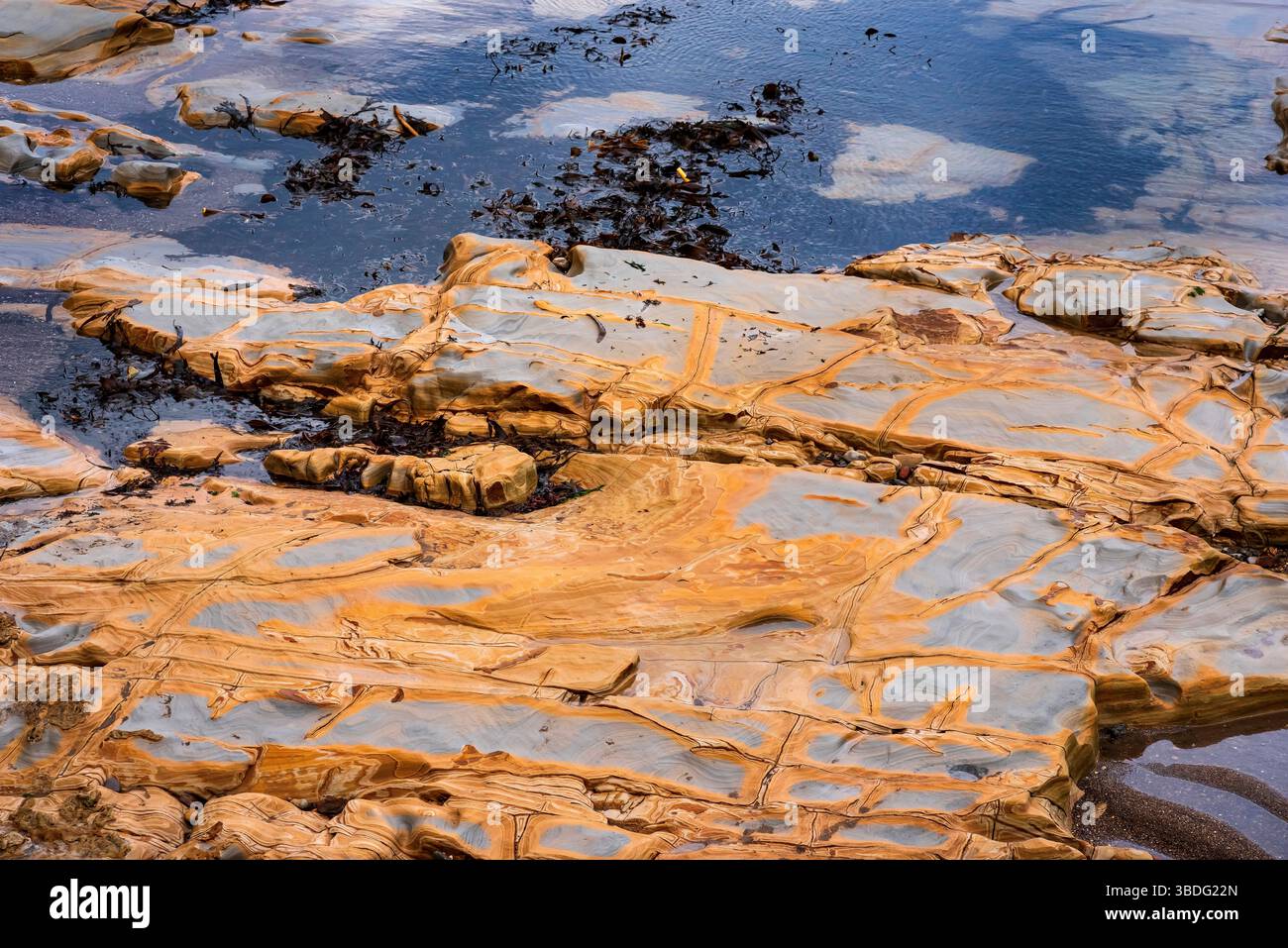 Beautiful sandstone and mudstone bedrock at the tide level in ...