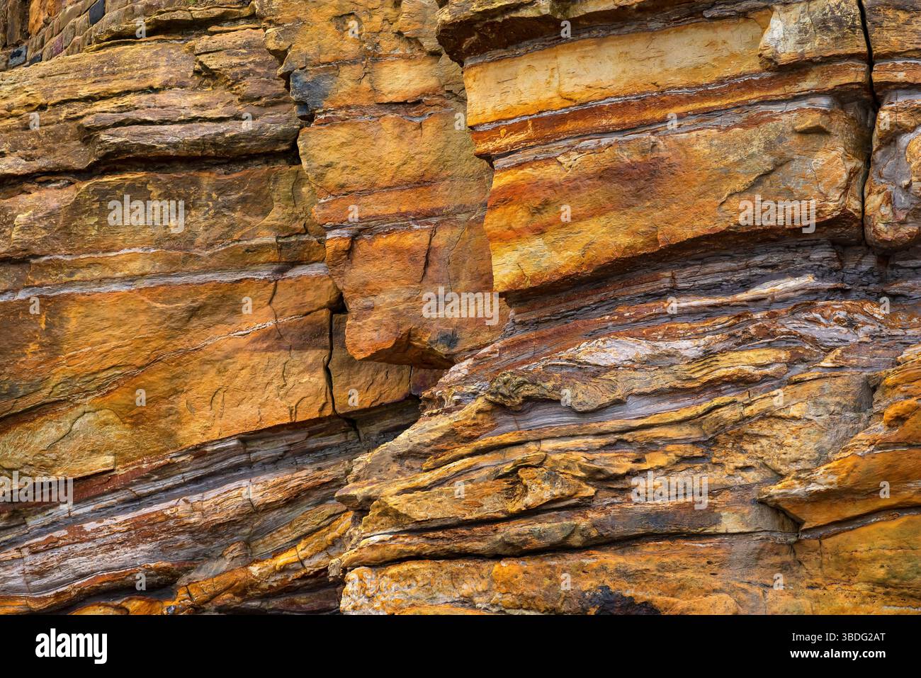 Spectacular strongly-bedded Jurassic sandstone with mineral veins and ...
