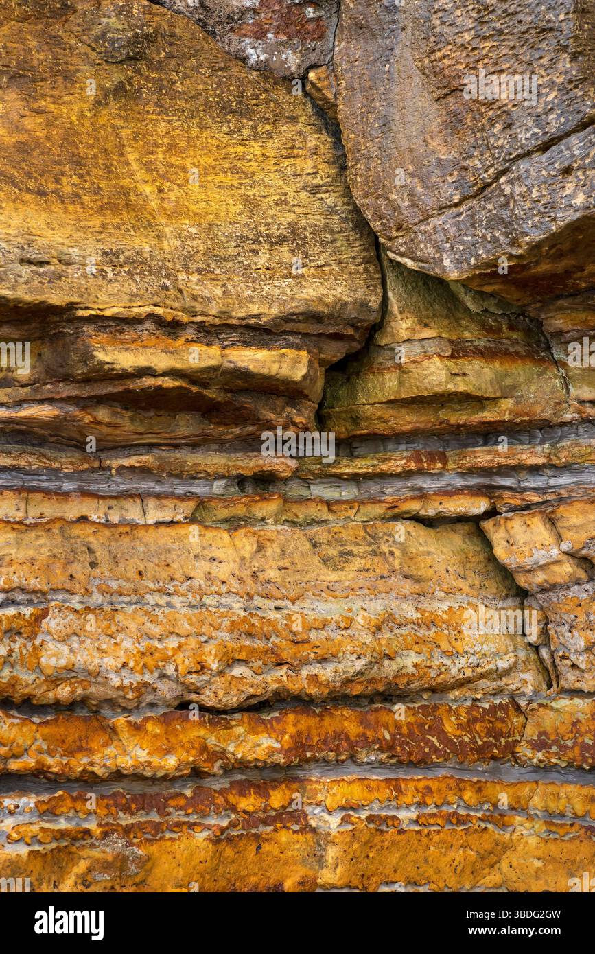 Spectacular strongly-bedded Jurassic sandstone with mineral veins and ...