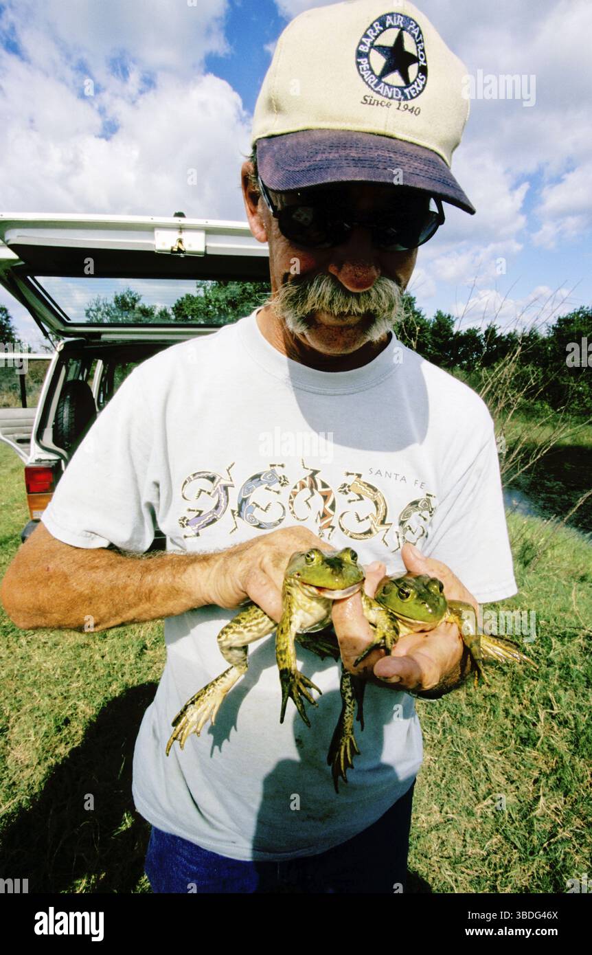 Bullfrogs beard hi-res stock photography and images - Alamy