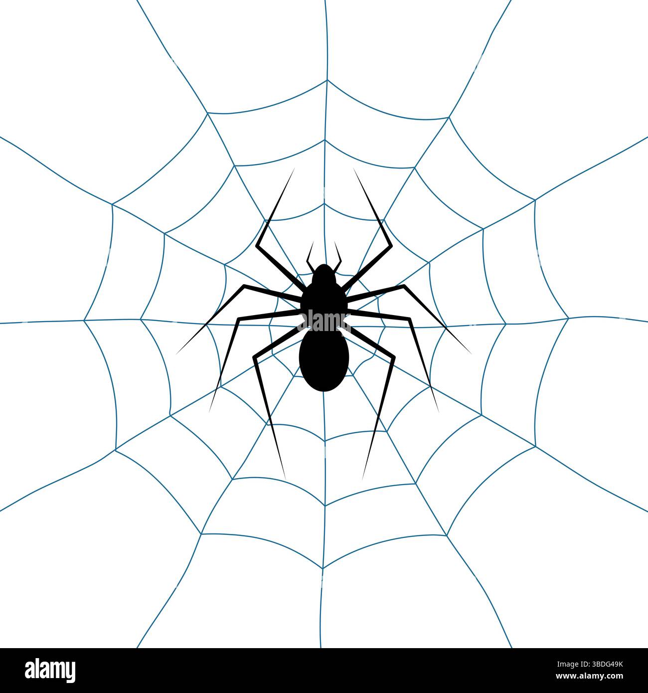 Black Spider on Web Vector Illustration. Minimalist vector illustration ...
