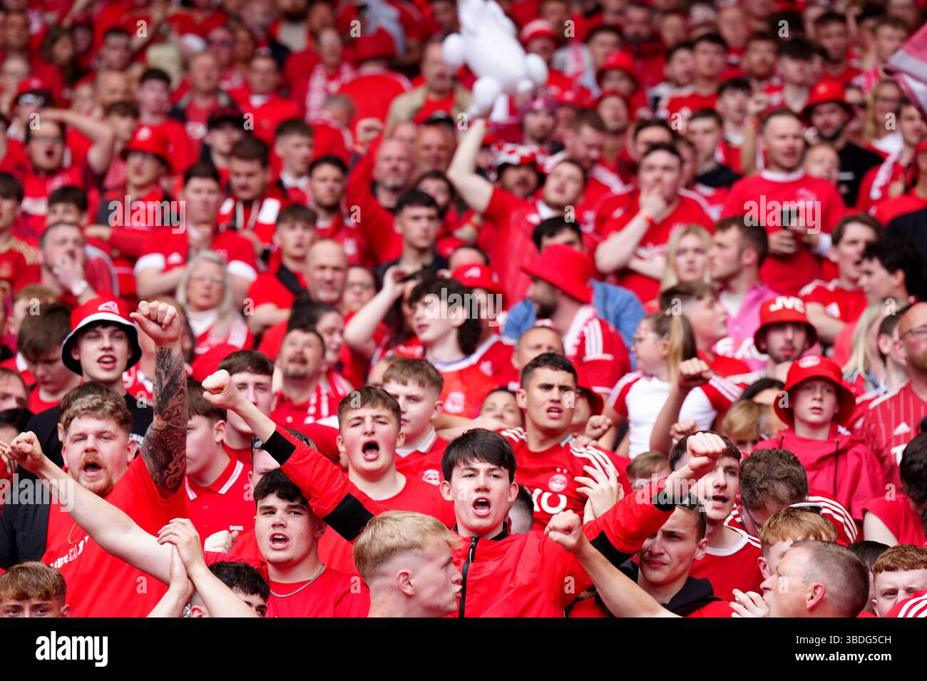 Aberdeen fans in the stands during the Scottish Gas Men's Scottish Cup ...