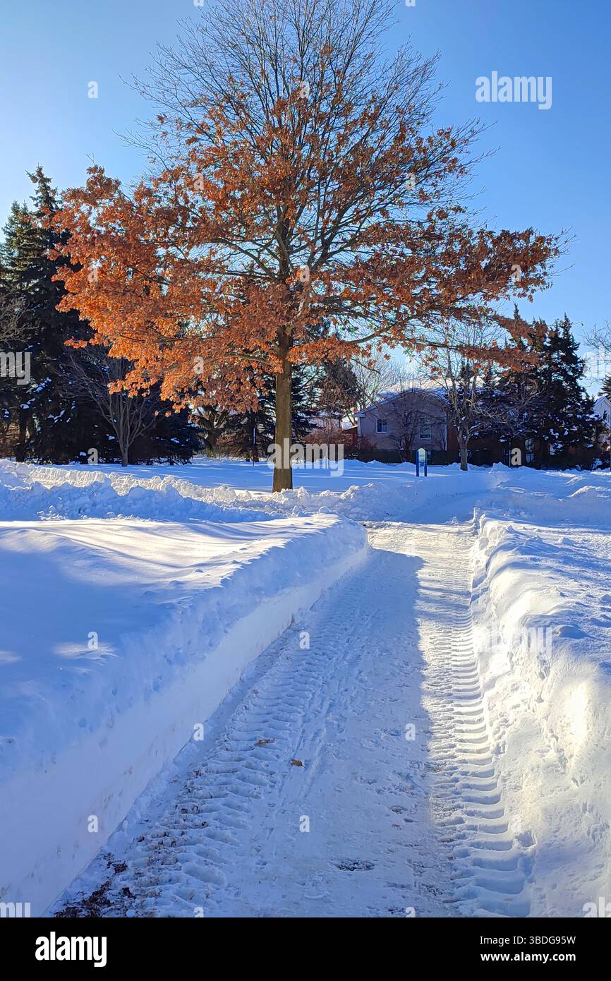 Which are part his fall winter hi-res stock photography and images - Alamy