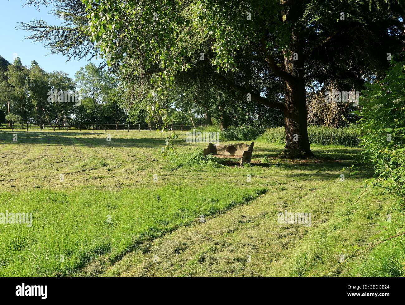 A scenic woodland landscape with a wooden chair under a large tree ...