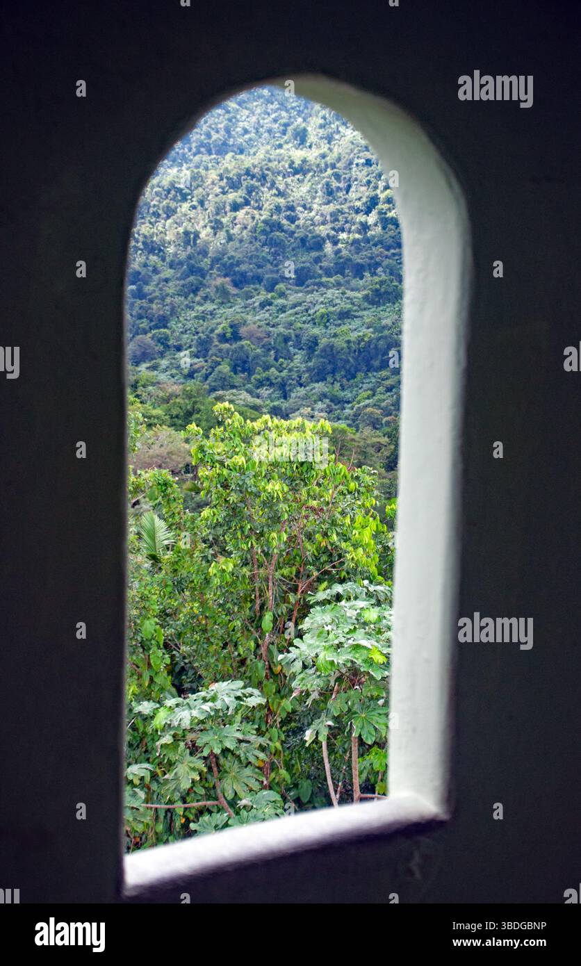 View from window of Yokahu Observation Tower, El Yunque National Forest ...