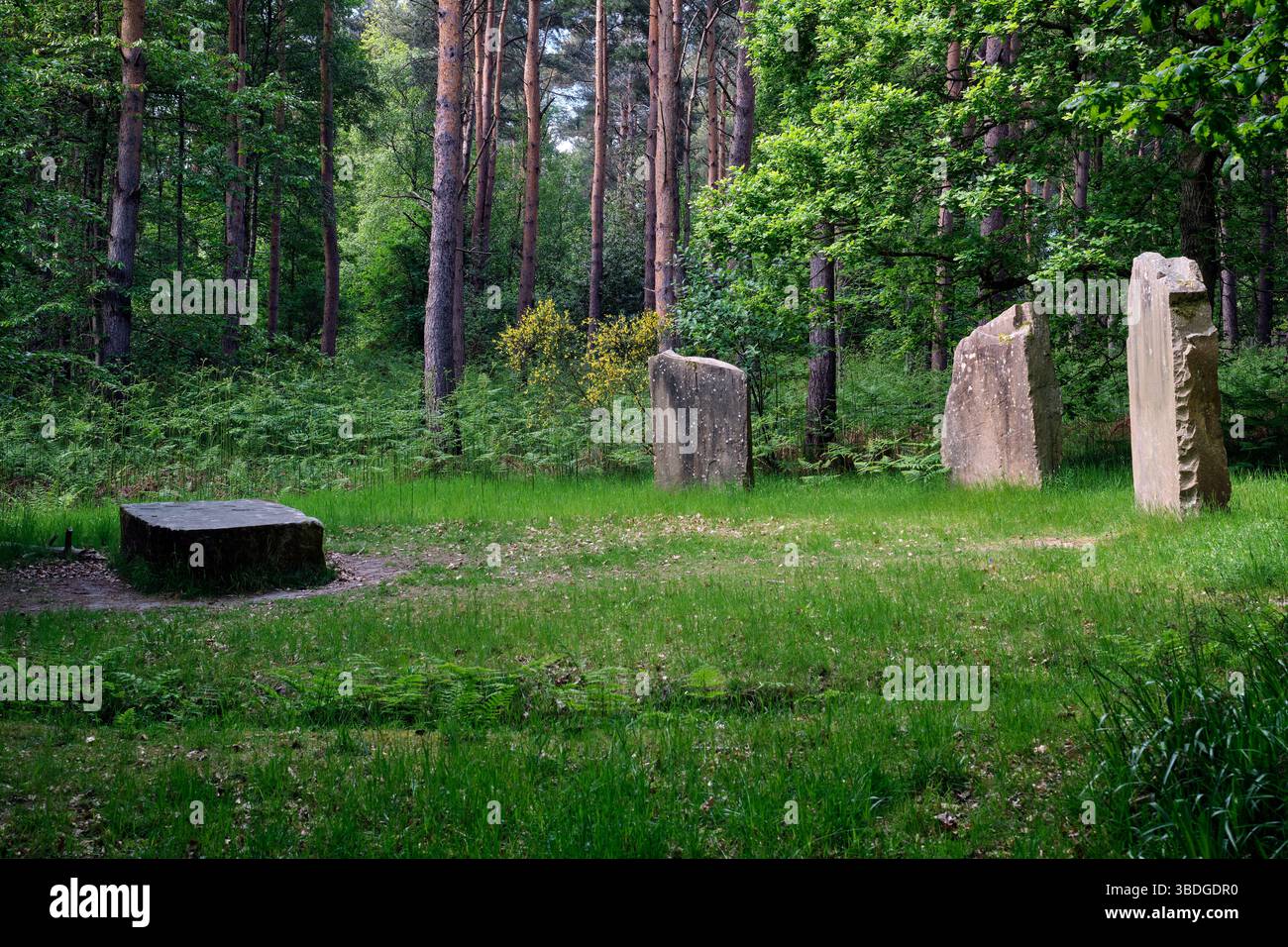 Brumley historical hi-res stock photography and images - Alamy