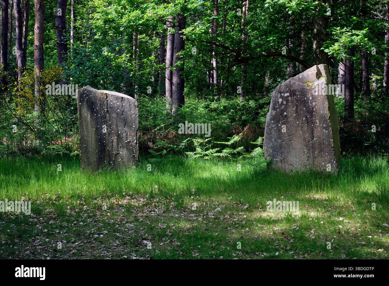 Brumley historical hi-res stock photography and images - Alamy