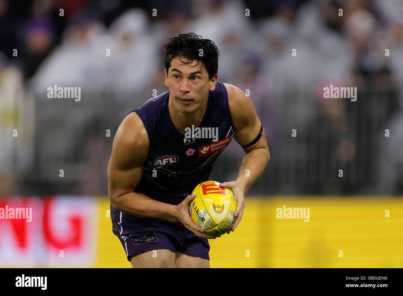 Perth, Australia. 24th May, 2025. Bailey Banfield of the Dockers in ...