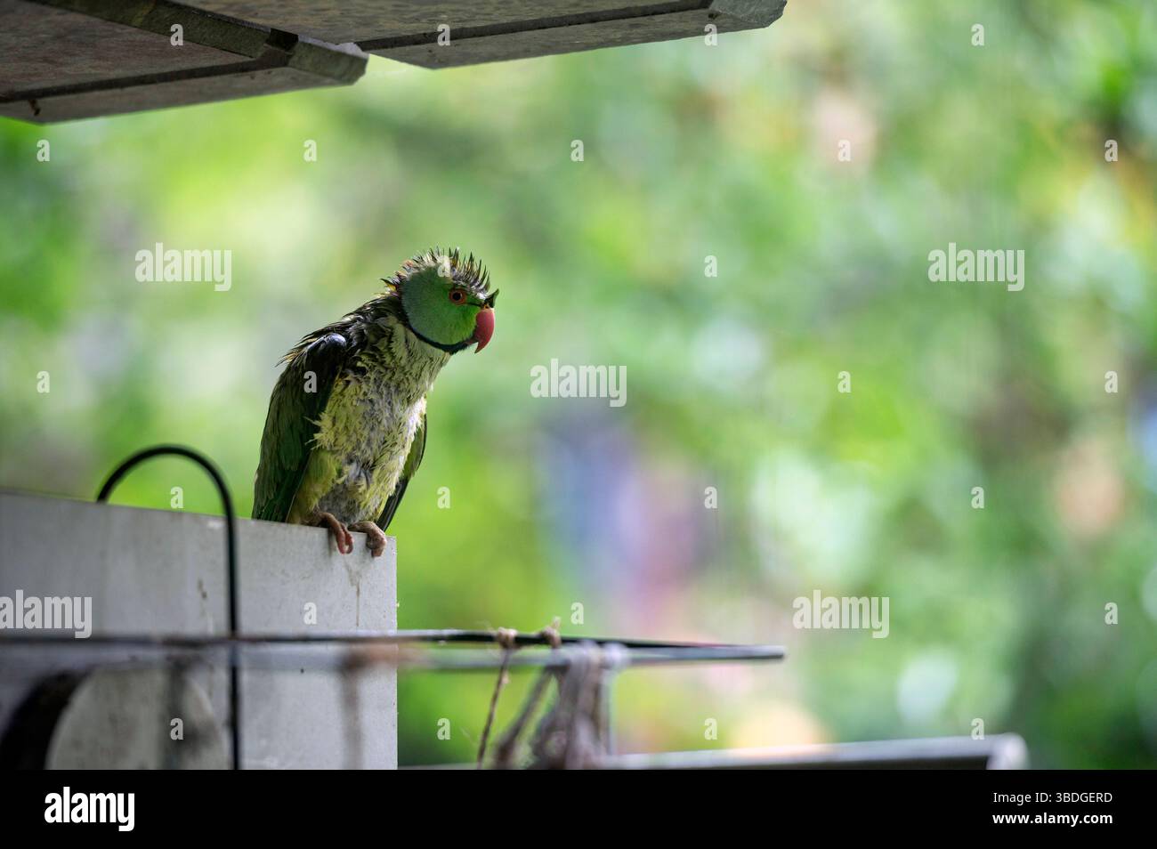 Amsterdam The Netherlands 24th May 2025 A rain front passes across ...