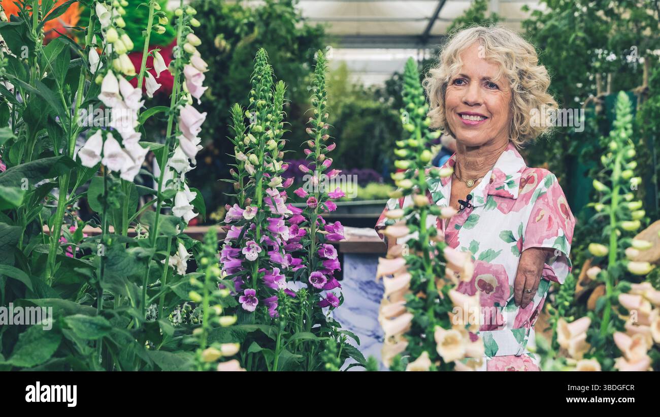 Sue Kent, tv gardening presenter, RHS Chelsea Flower Show, London, UK ...