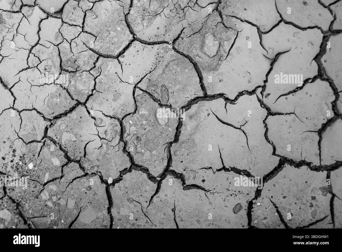 Close up texture background dried Black and White Stock Photos & Images ...