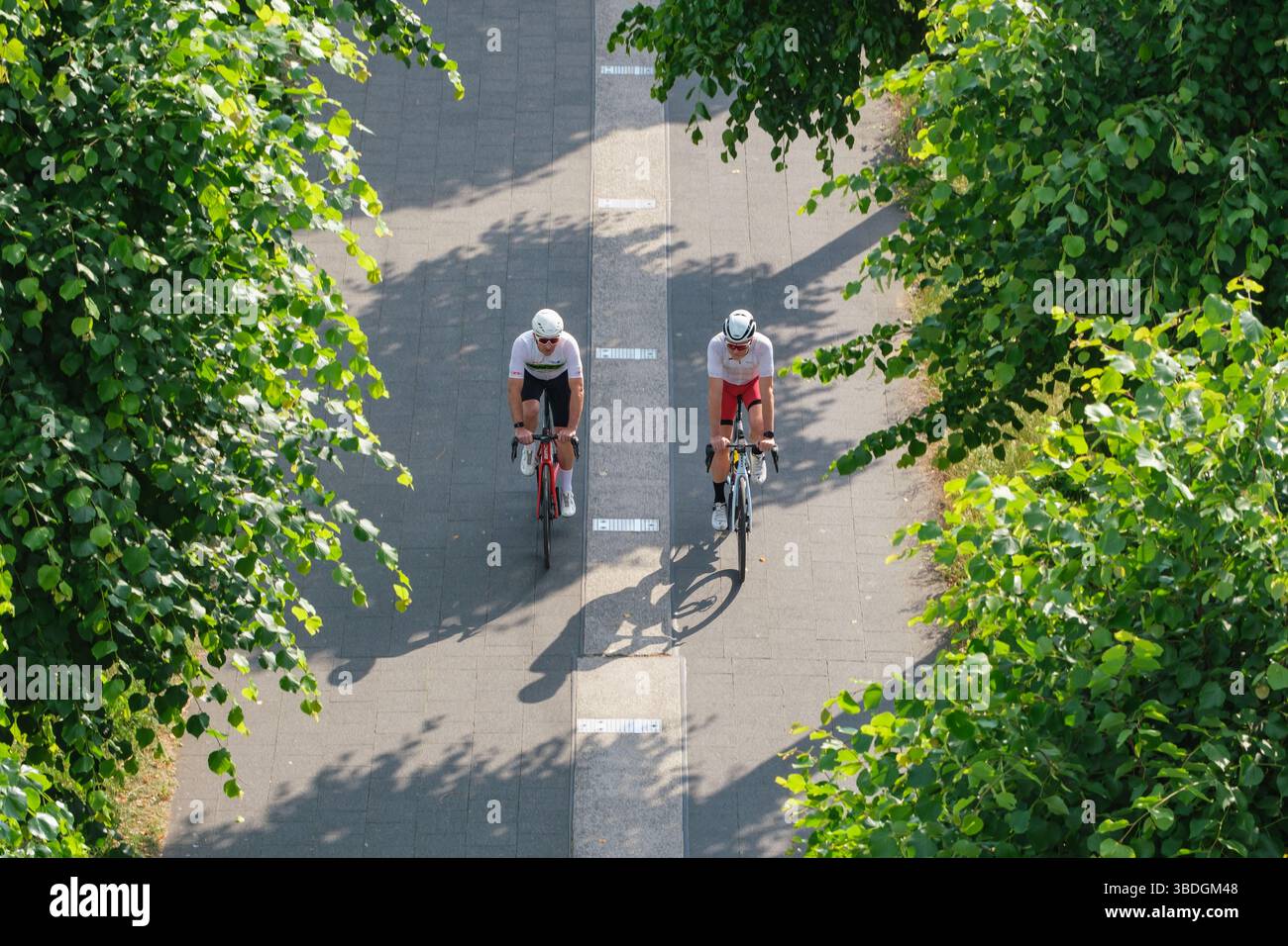 Two cyclists ride side by side on a scenic tree-lined path Stock Photo ...