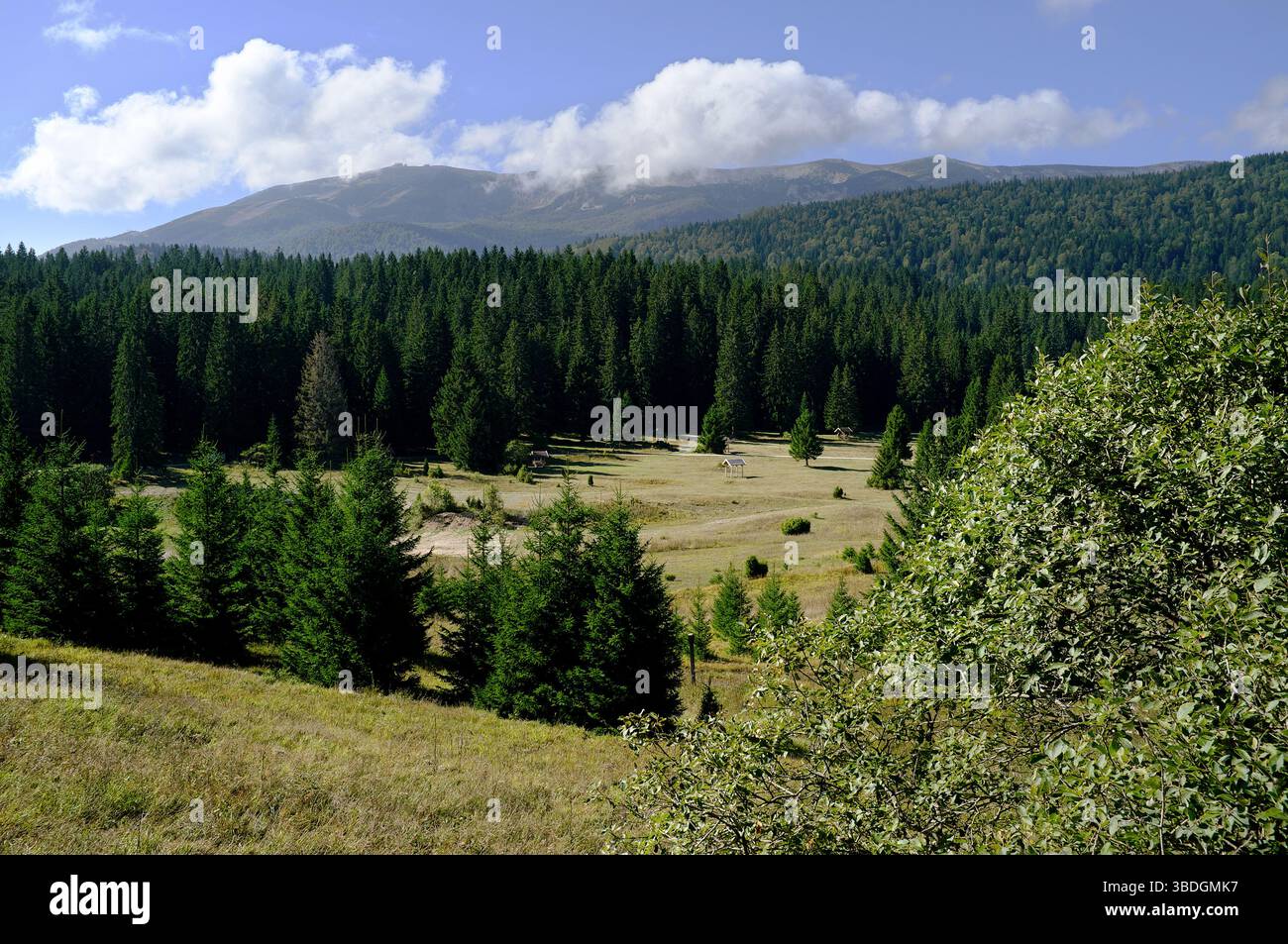 Igman dinaric alps bosnia hi-res stock photography and images - Alamy