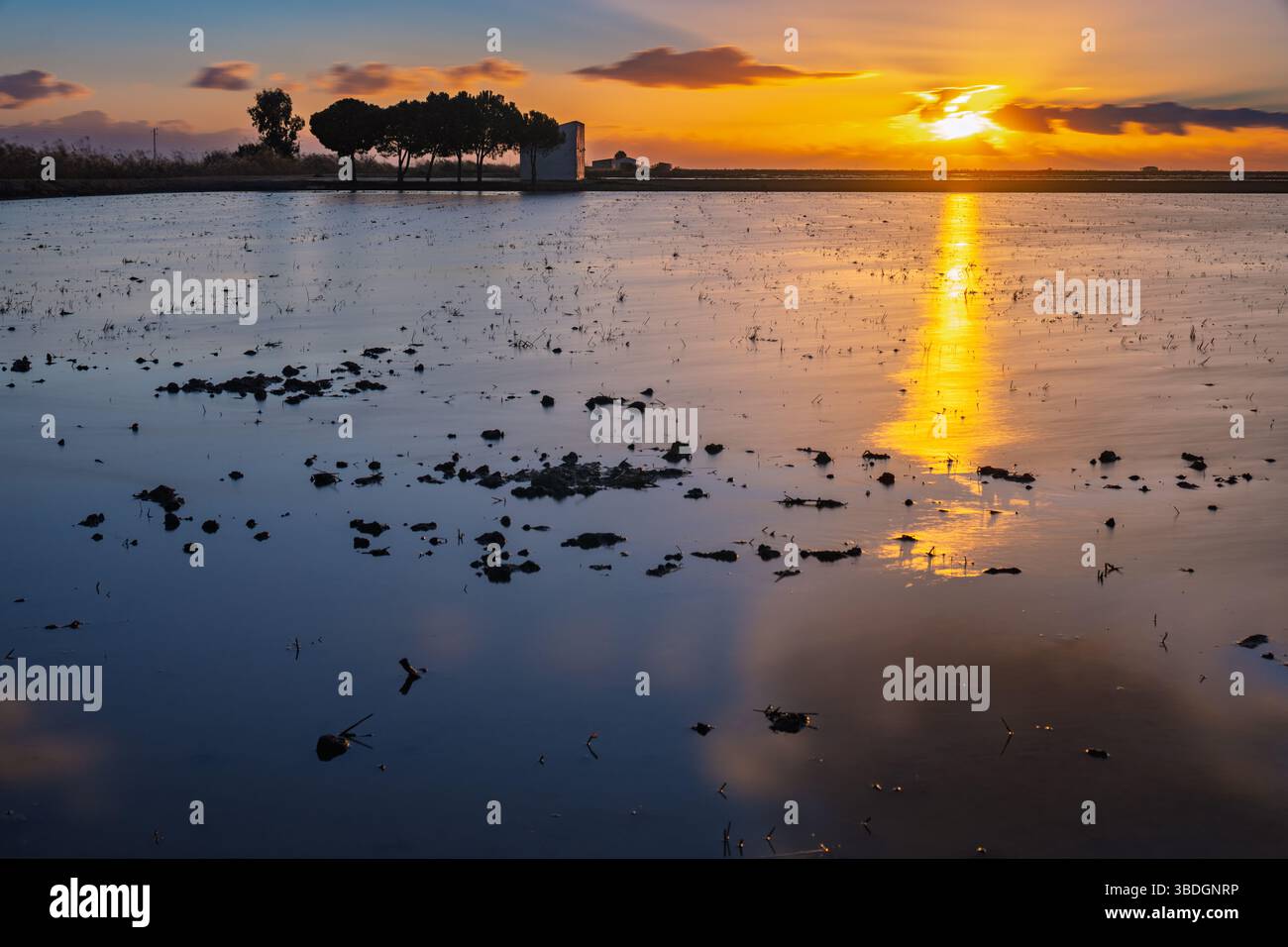 Long exposure captures the stunning sunset over rice fields in Isla ...