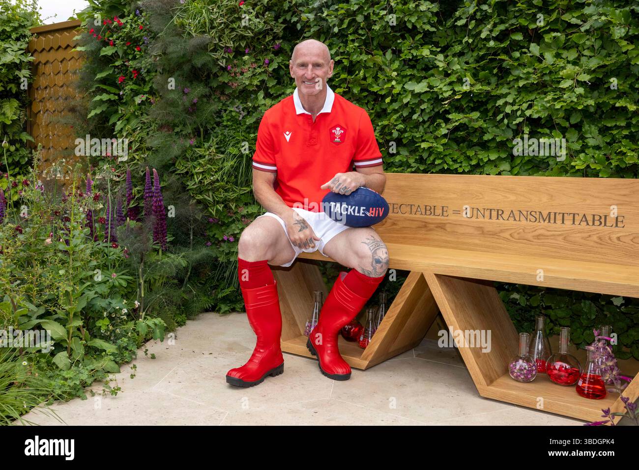 Hiv rugby ball hi-res stock photography and images - Alamy