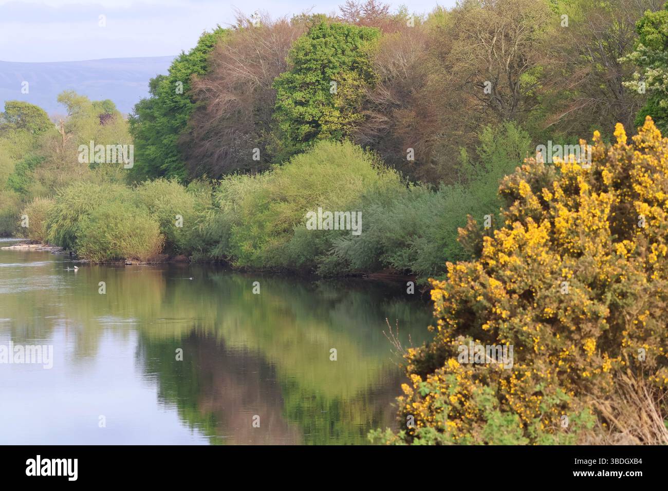Warwick hall view of river eden hi-res stock photography and images - Alamy