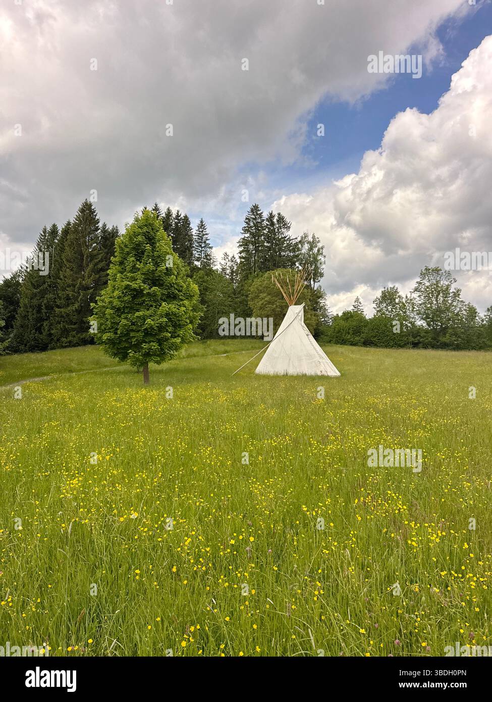 Teepee is in the middle of a field of grass Stock Photo - Alamy