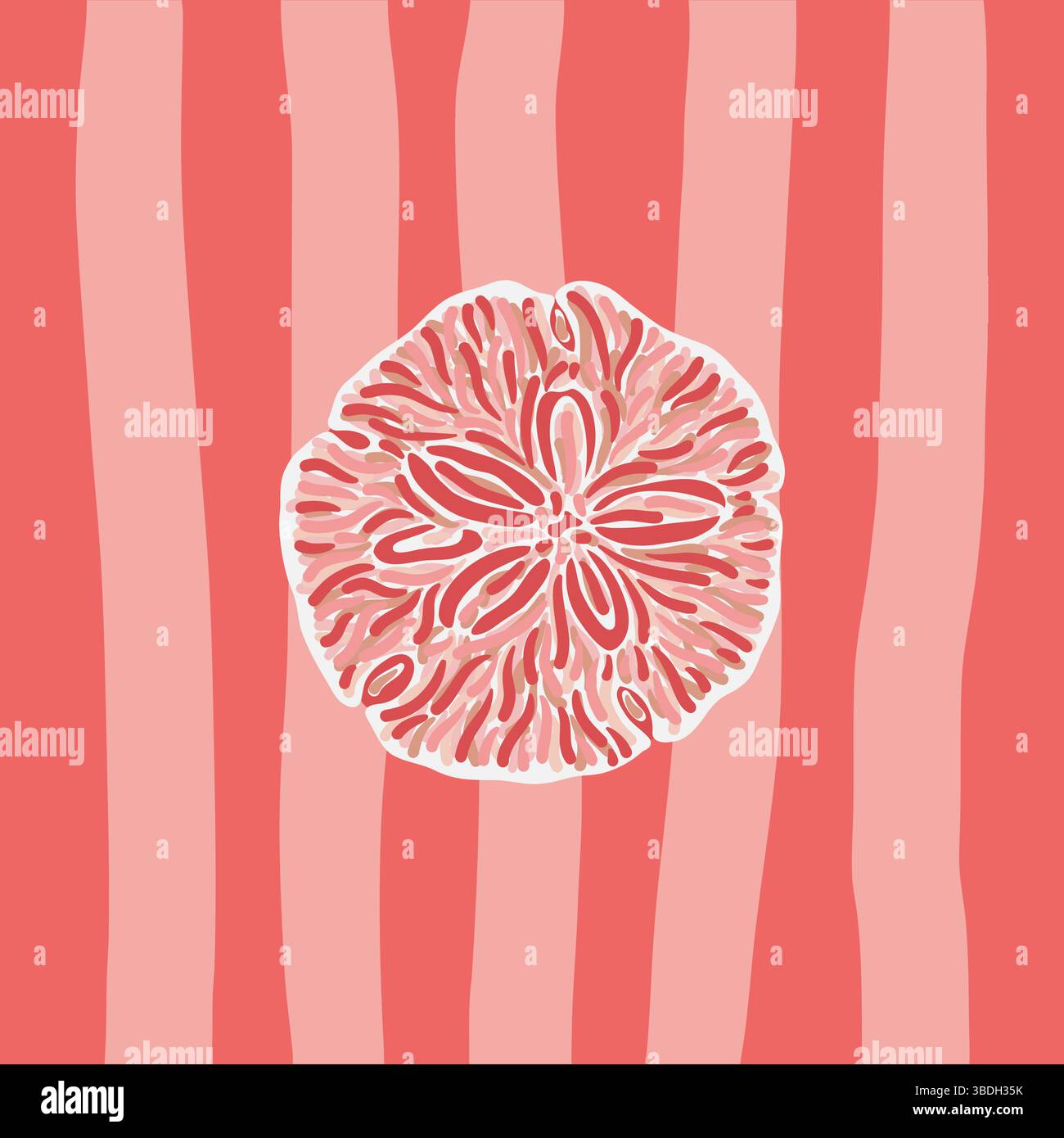 Sand dollar on ocean Stock Vector Images - Alamy