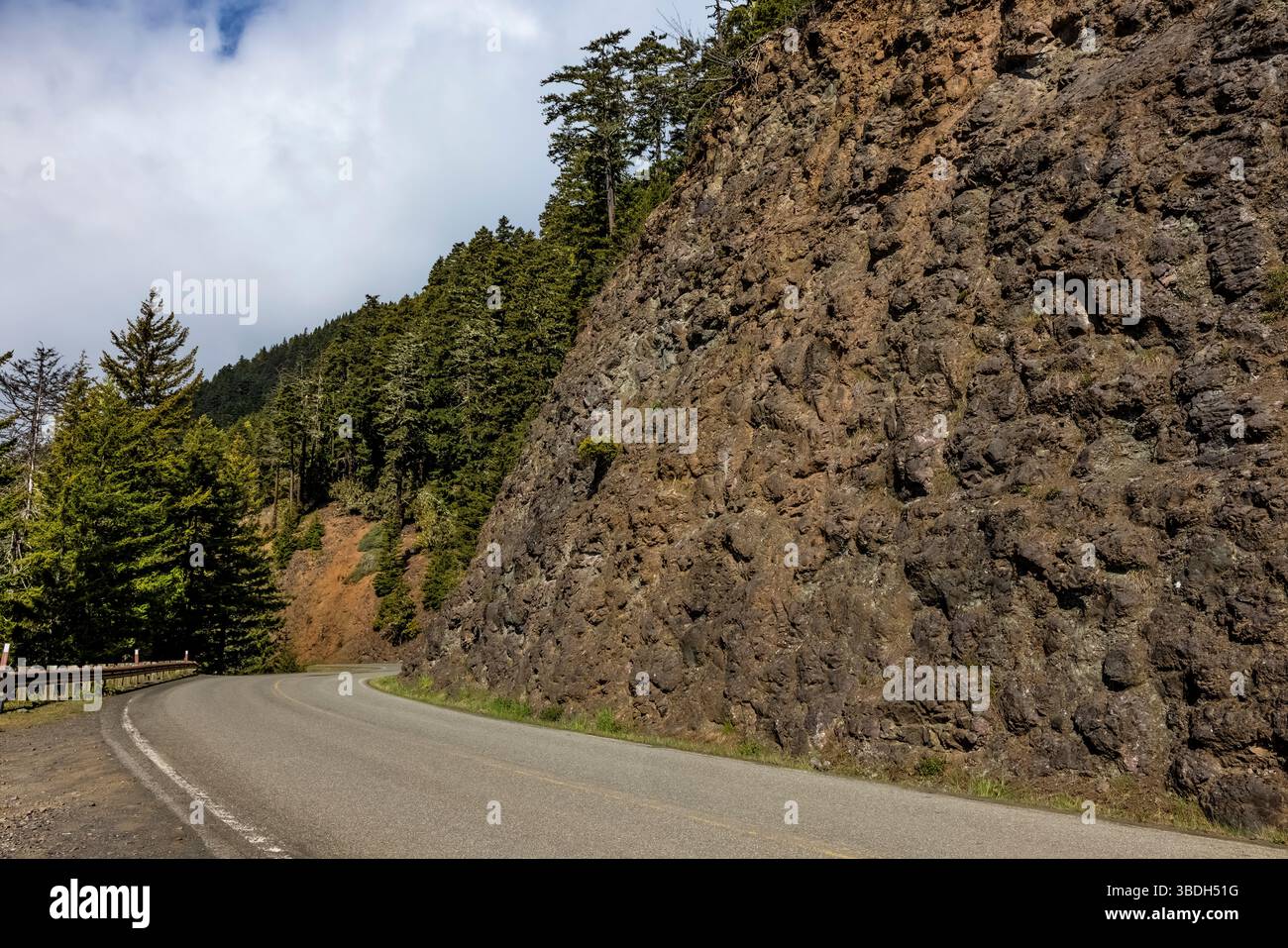 Pillow Lava from an undersea volcanic eruption along Hurricane Ridge ...