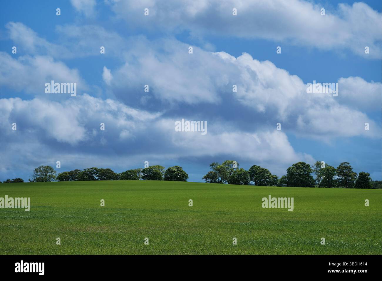 Lined prints hi-res stock photography and images - Alamy