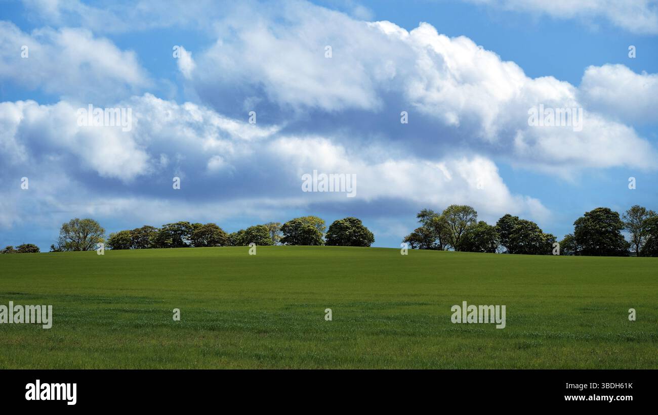 Lined wallpaper hi-res stock photography and images - Alamy