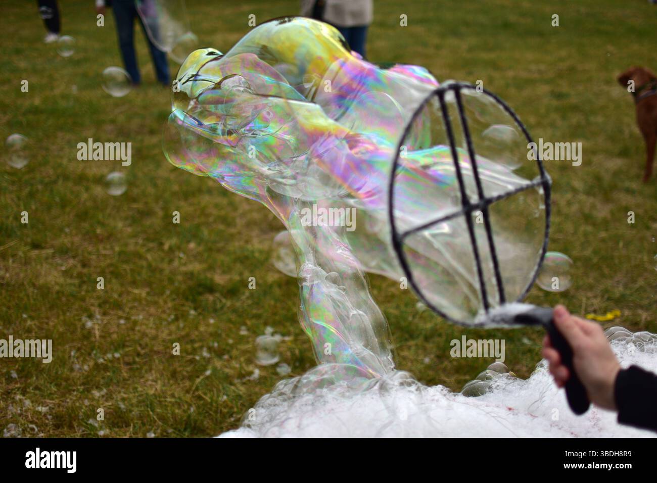 Colorful soap bubbles floating in the air with children playing in the background. Outdoor fun ...