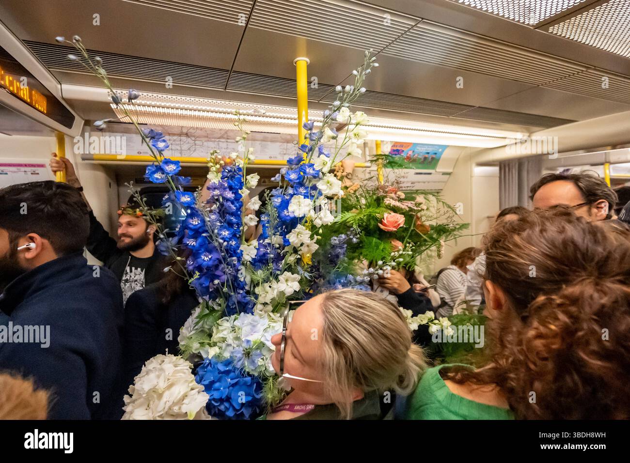 London, UK. 24 May 2025. A member of the public rides the District line ...